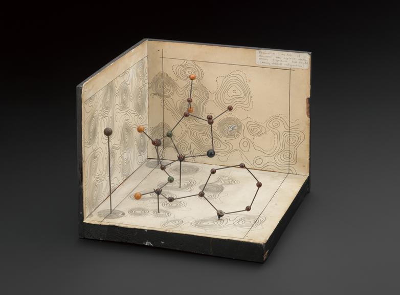 Molecular model of penicillin by Dorothy M Crowfoot Hodgkin, England ...