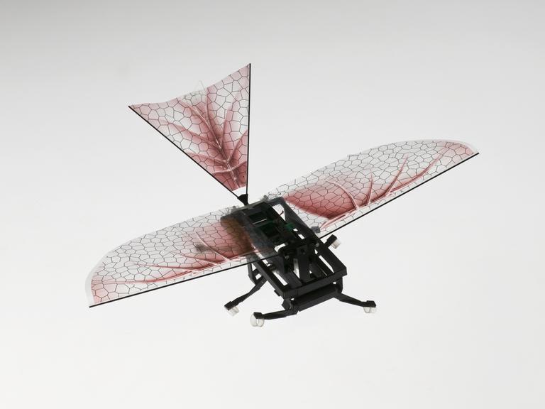 DASH+Wings, six legged | Science Museum Group Collection