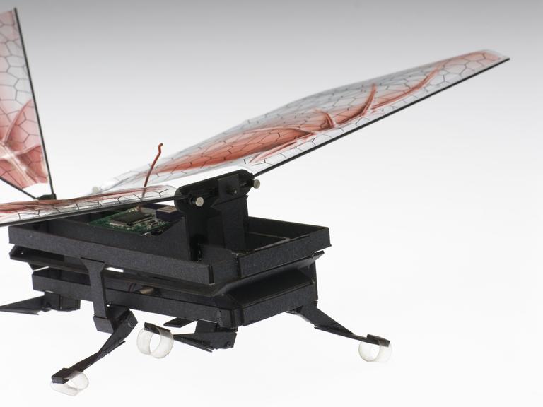 DASH+Wings, six legged | Science Museum Group Collection