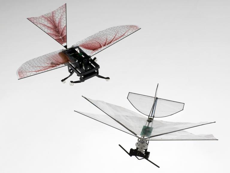 DASH+Wings, six legged | Science Museum Group Collection