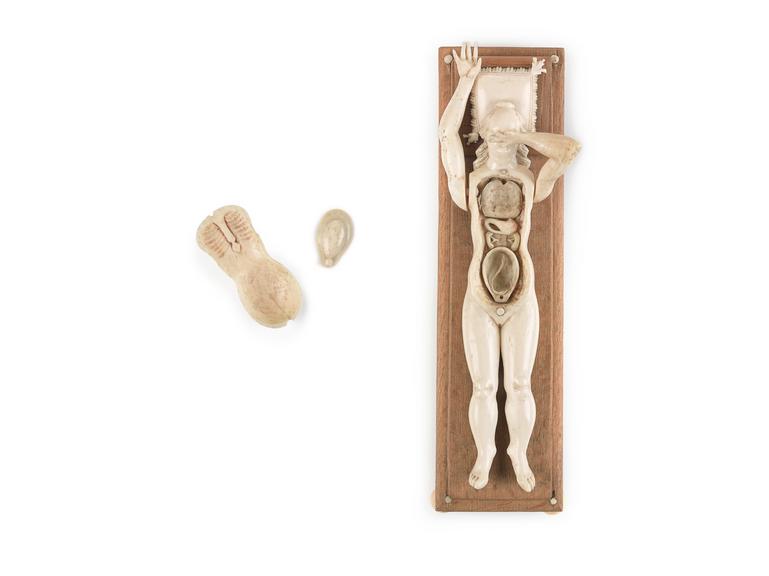 Anatomical female figure. A small ivory model with removable anterior ...