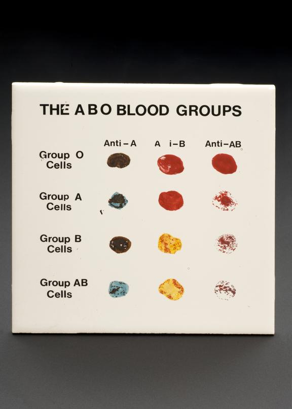 Copy of a blood-grouping tile | Science Museum Group Collection