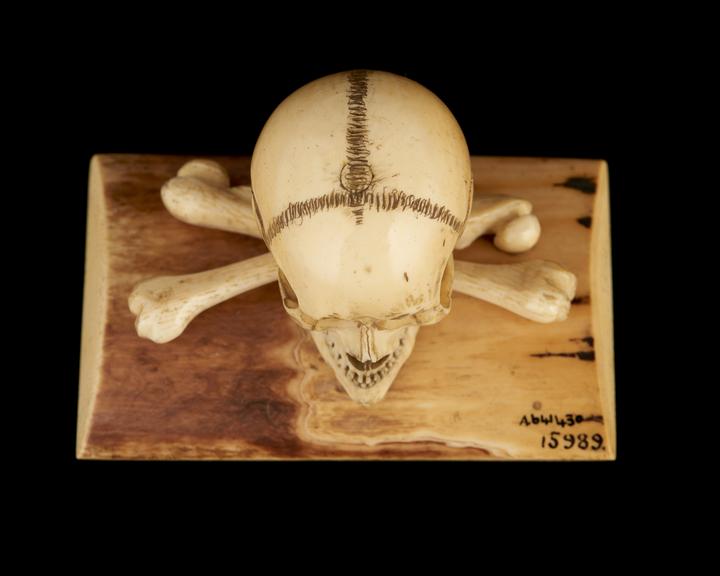 Ivory model of skull and cross bones | Science Museum Group Collection