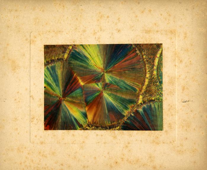 Early colour photographs, possibly relating to the company's ...