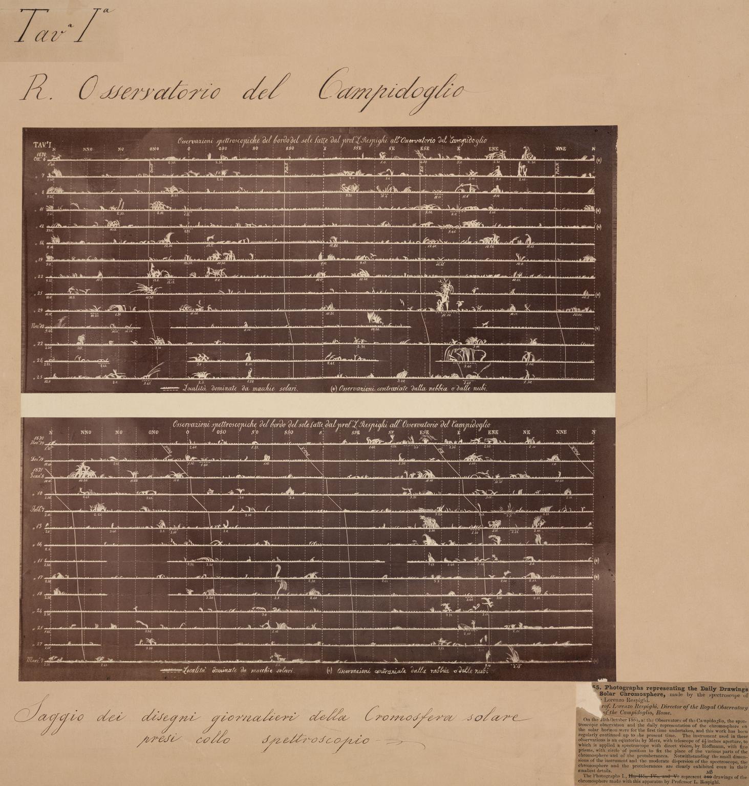 Five sheets of photographs representing the daily drawings of the solar ...