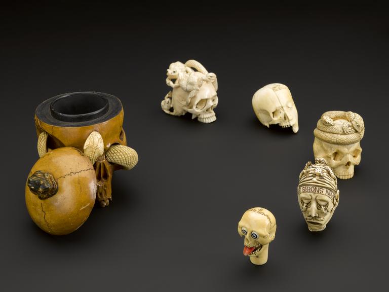Ivory model of a human skull with moving parts | Science Museum Group ...