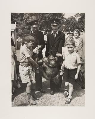 Jiggs' the orangutan enjoys a frog-march | Science Museum Group Collection