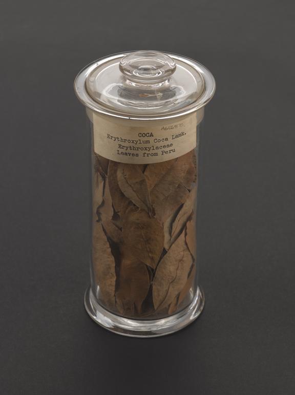 specimen jar; controlled drug; cocaine | Science Museum Group Collection