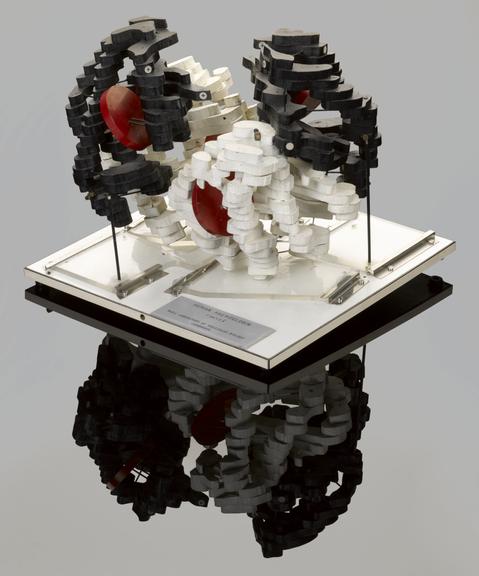 Haemoglobin model | Science Museum Group Collection