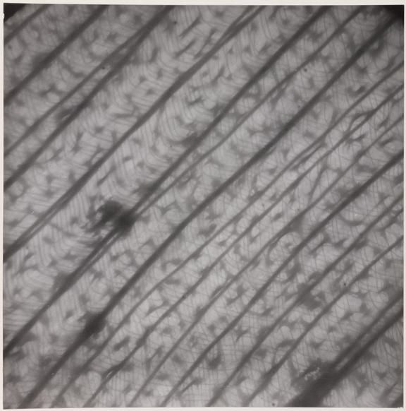 Electron microgram of moth wing scale | Science Museum Group Collection