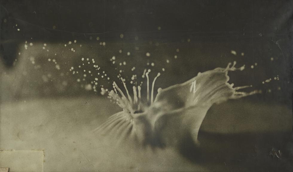 Enlarged Spark Photograph of Splash Caused by Stone Sphere | Science ...