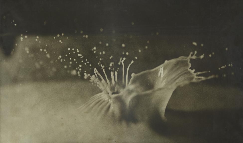 Enlarged Spark Photograph of Splash Caused by Stone Sphere | Science ...
