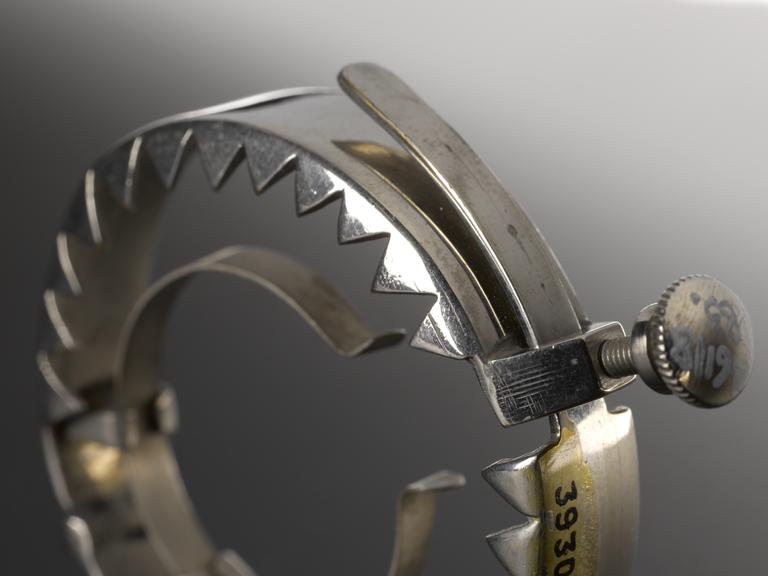 Jugum penis, steel, nickel-plated, by Down Bros. | Science Museum Group ...