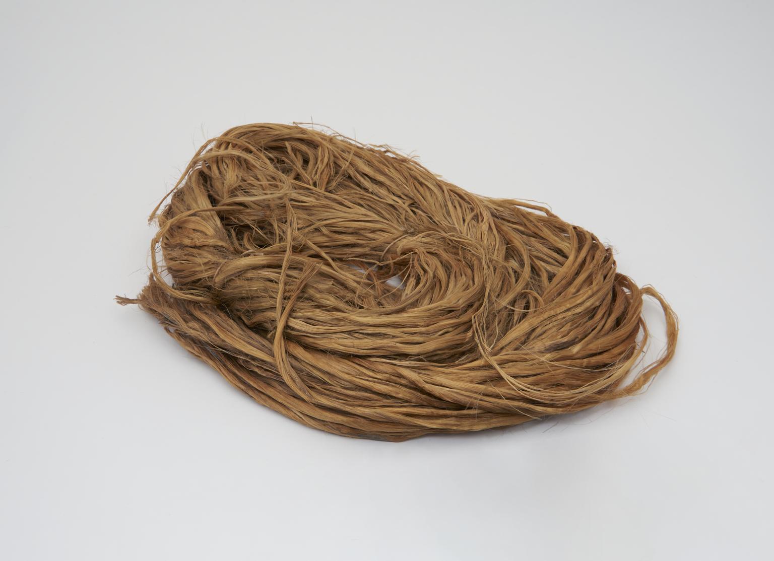 Specimens illustrating jute processing | Science Museum Group Collection