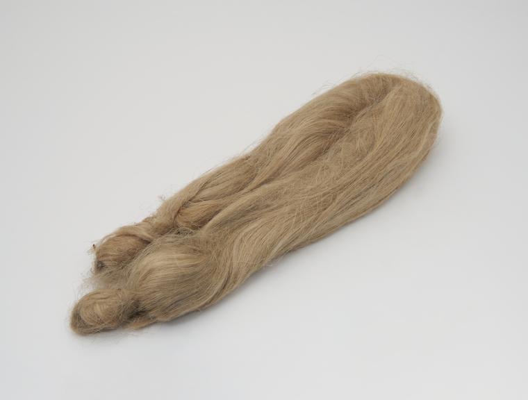 Piece of hackled line or "tipple" | Science Museum Group Collection