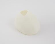 3D printed bone scaffold | Science Museum Group Collection