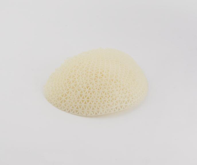 3D printed bone scaffold | Science Museum Group Collection