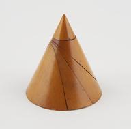 1 of 3 dissected cones | Science Museum Group Collection