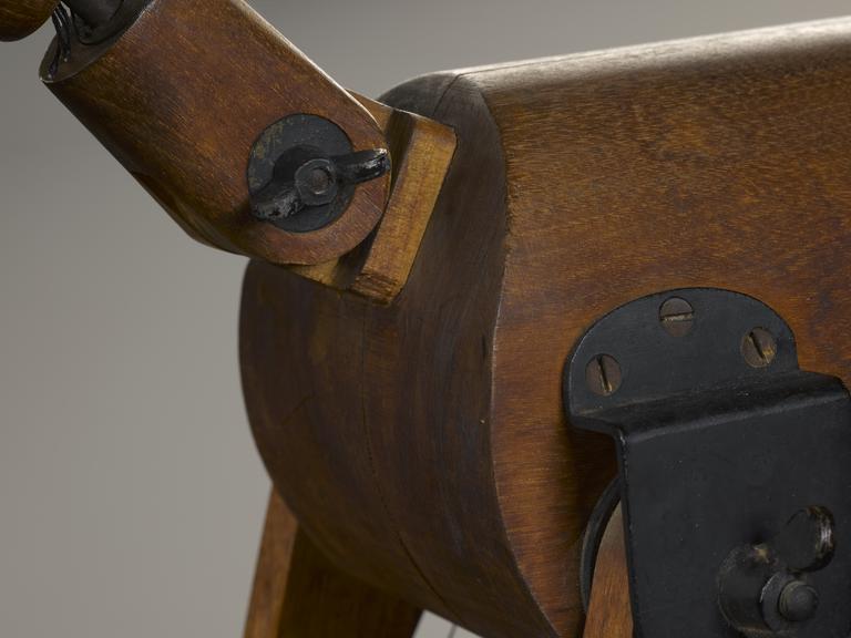 Model of a cat to demonstrate reflexes | Science Museum Group Collection