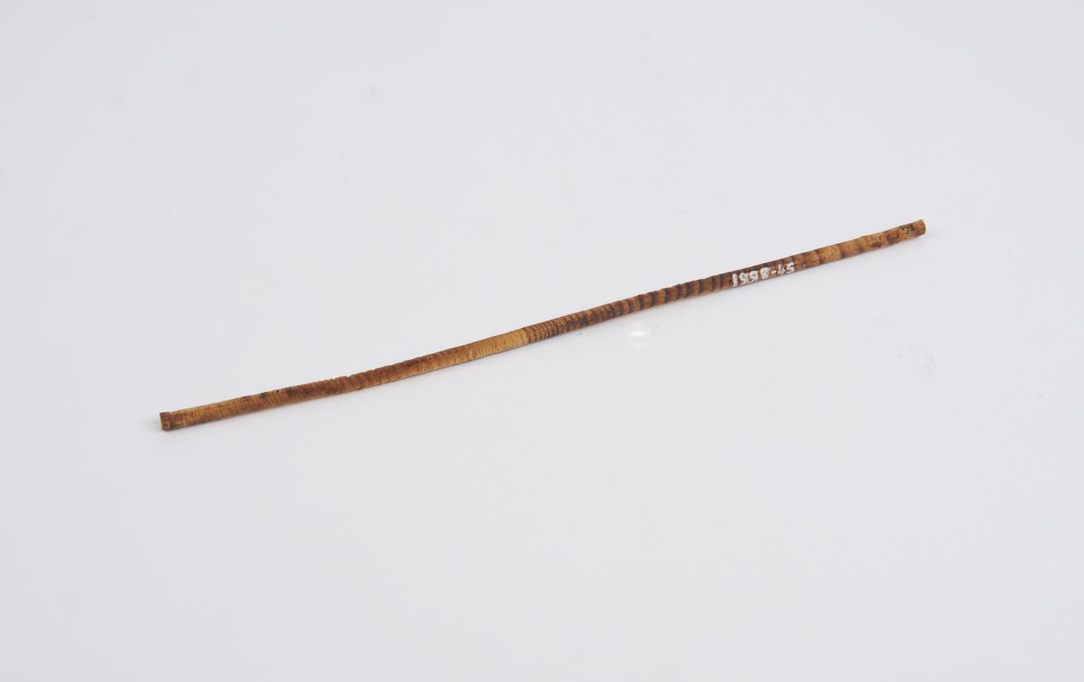Pine tree wood core, 1997 | Science Museum Group Collection