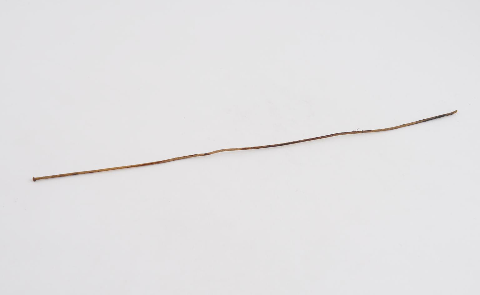 Gum elastic stilet for introducing urethral catheters | Science Museum ...