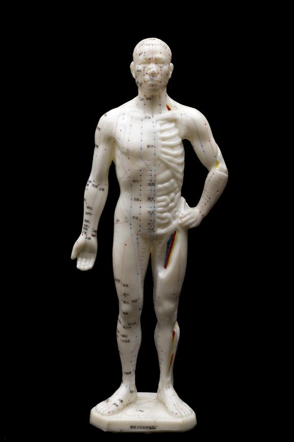 Acupuncture figure, China, 1970-1980 | Science Museum Group Collection