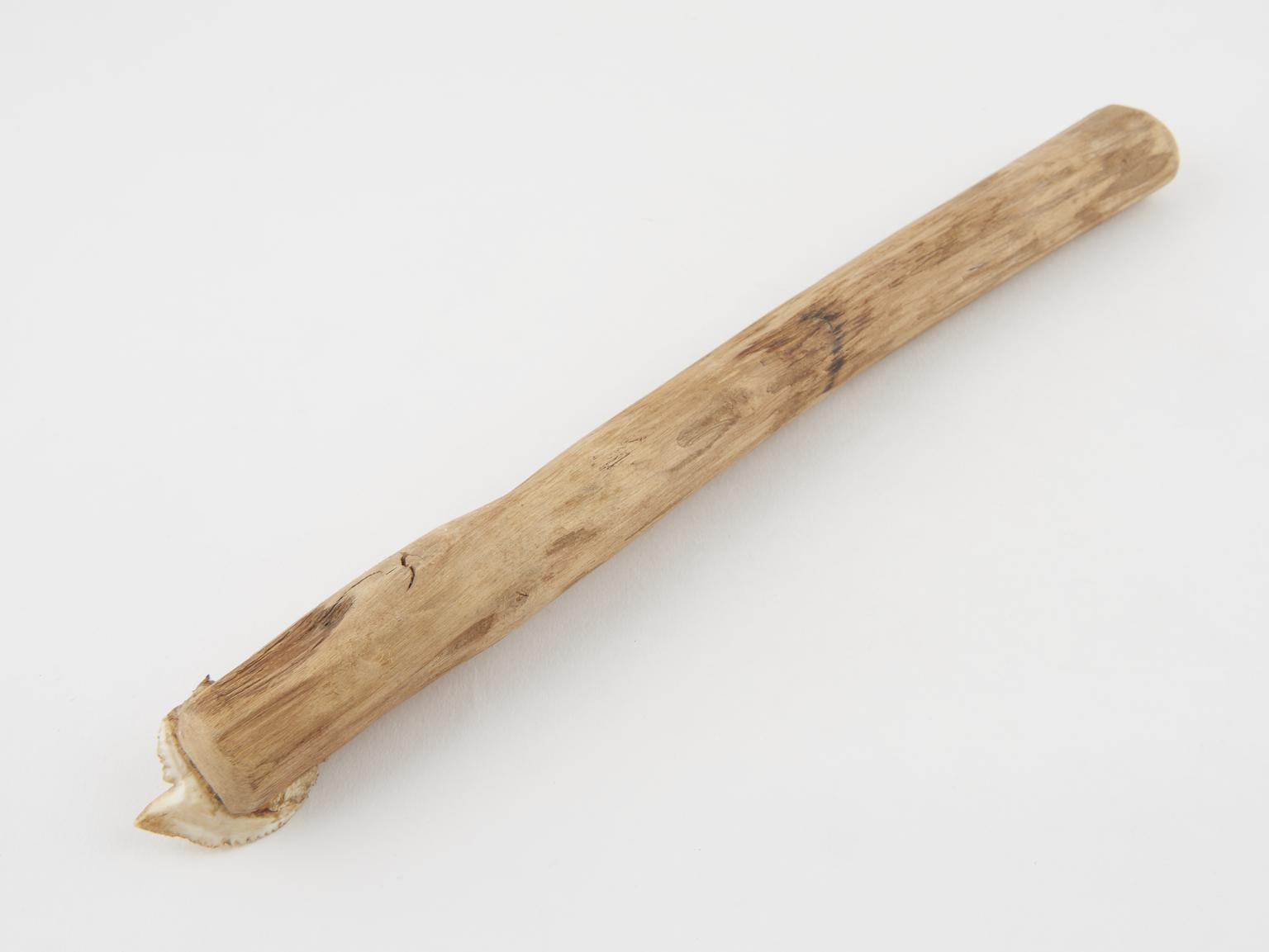 Wood and shell trephine, England, 1900-1915 | Science Museum Group ...