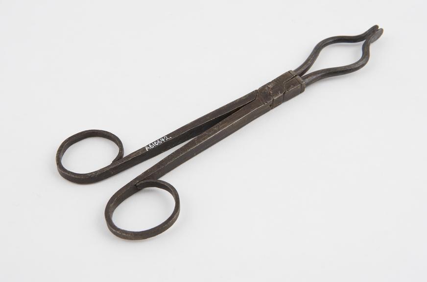 Forceps, steel, no provenance, 1701-1900 | Science Museum Group Collection