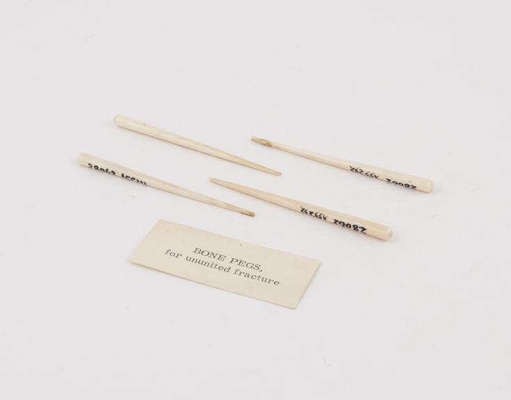 4 bone pegs | Science Museum Group Collection