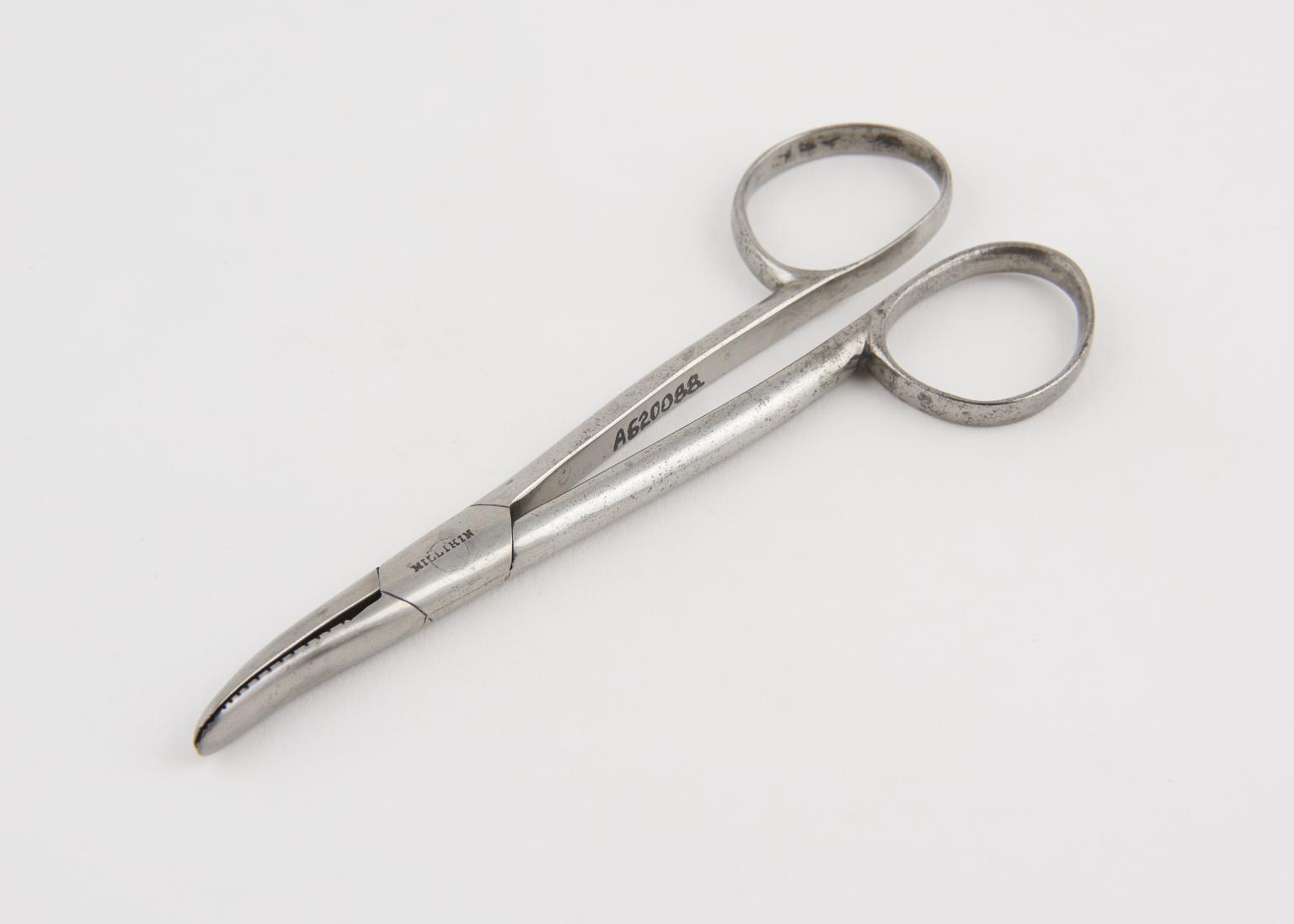 Onychia forceps | Science Museum Group Collection
