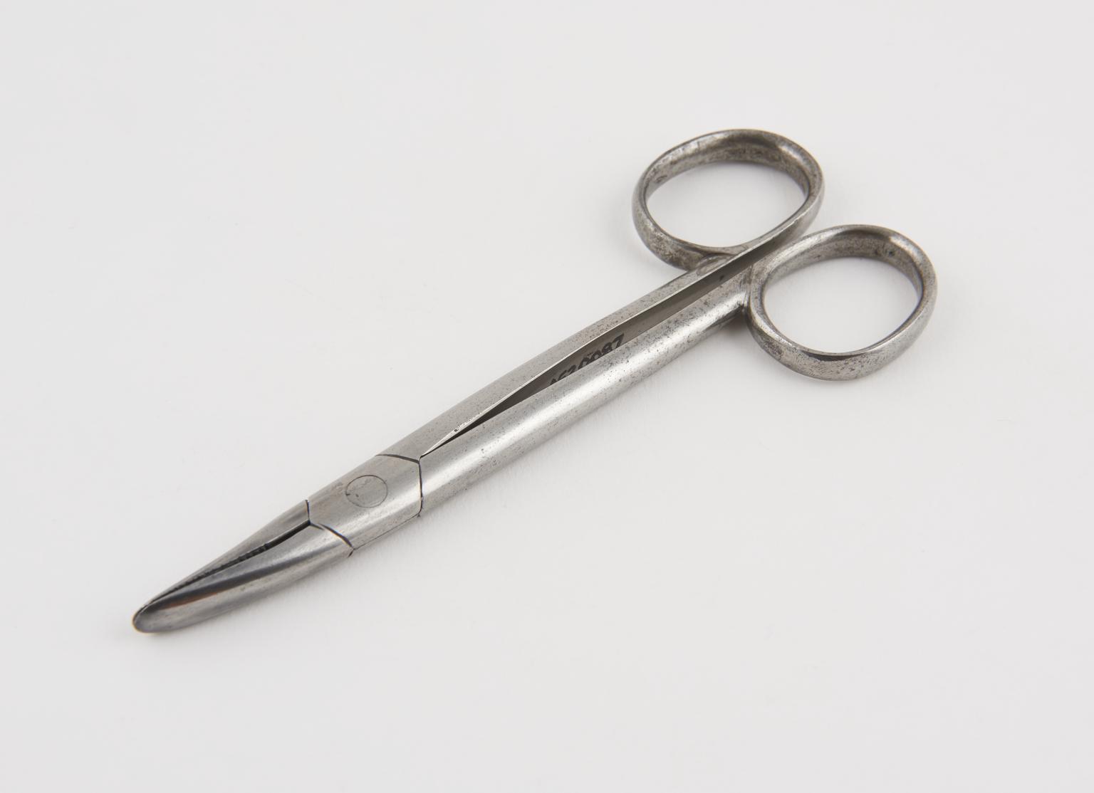 Onychia forceps | Science Museum Group Collection