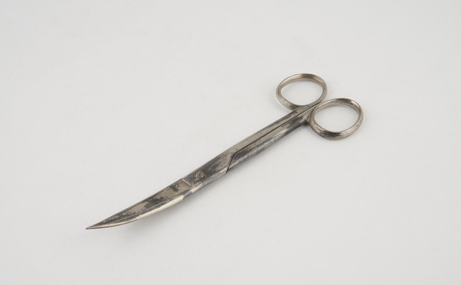 Scissors, curved on flat and pointed blade by W. Moorhouse | Science ...