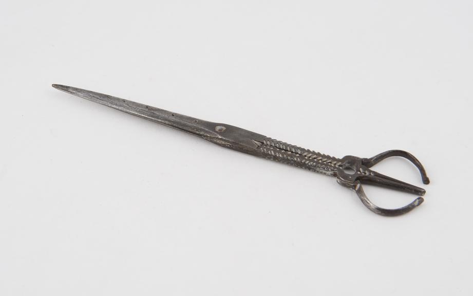 Scissors, steel, possibly North African, 1801-1900 | Science Museum ...