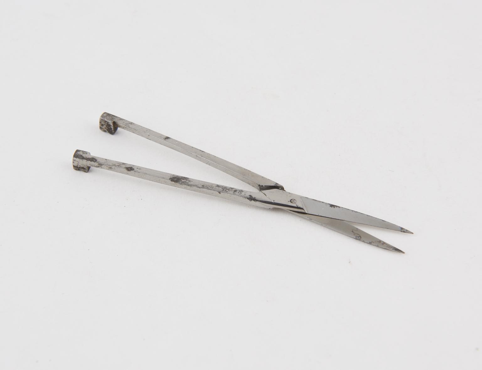 Scissors, probably surgical | Science Museum Group Collection