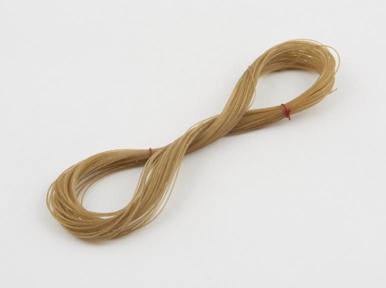 Ligature, possibly catgut | Science Museum Group Collection
