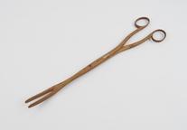 Uterine forceps, model, London, England,1822-1869 | Science Museum ...