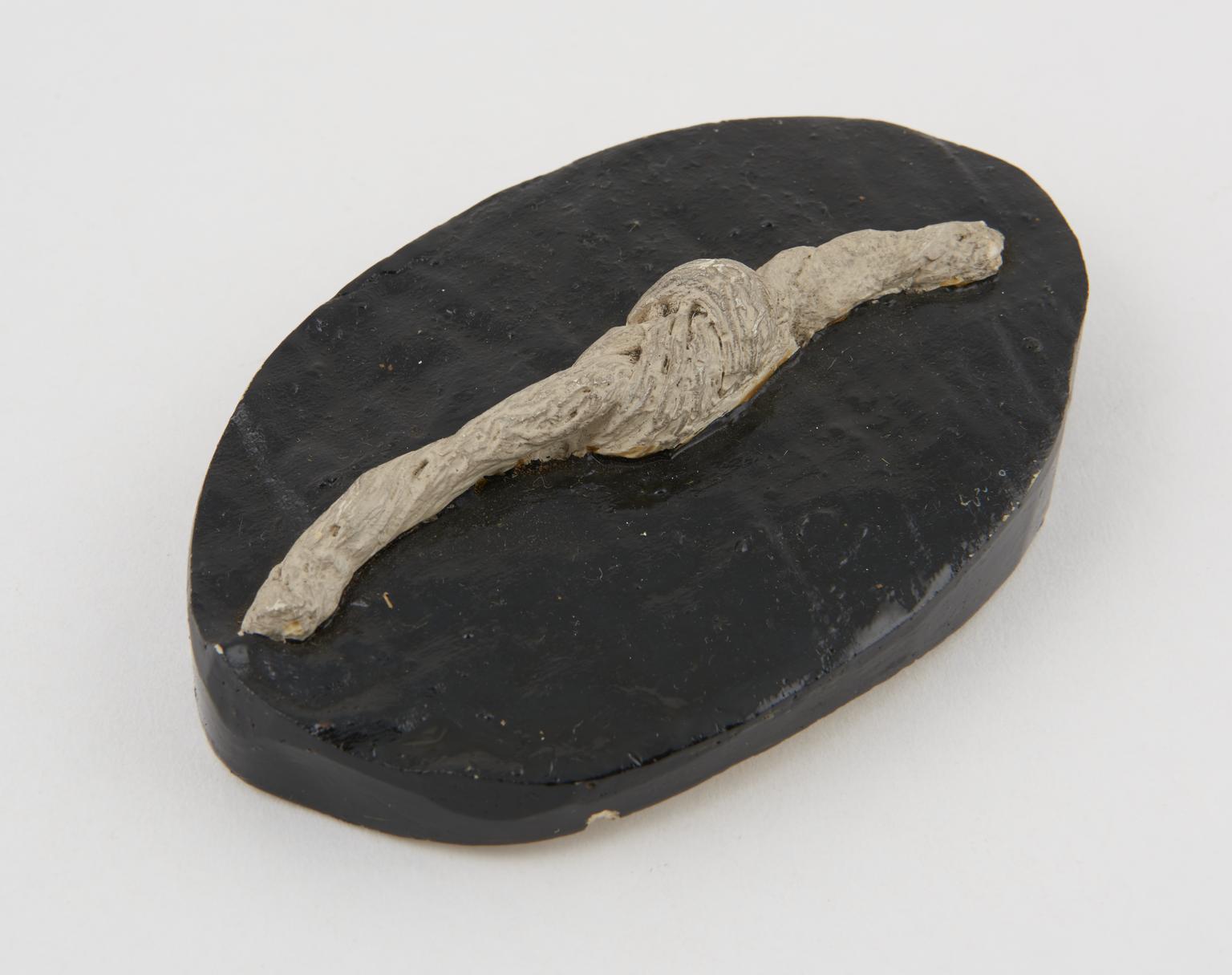 Plaster cast of an umbilical cord | Science Museum Group Collection