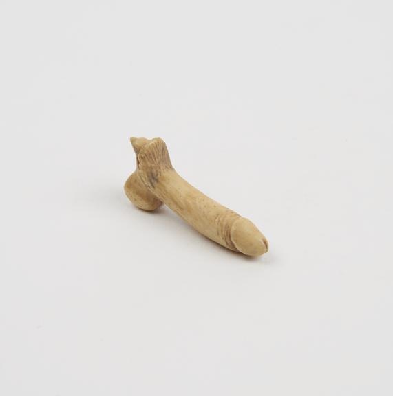 Bone erect phallus | Science Museum Group Collection