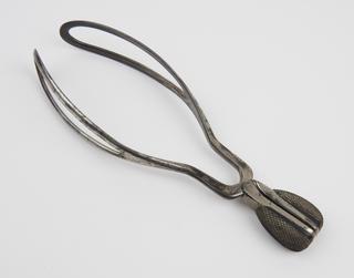 Adams obstetrical forceps | Science Museum Group Collection