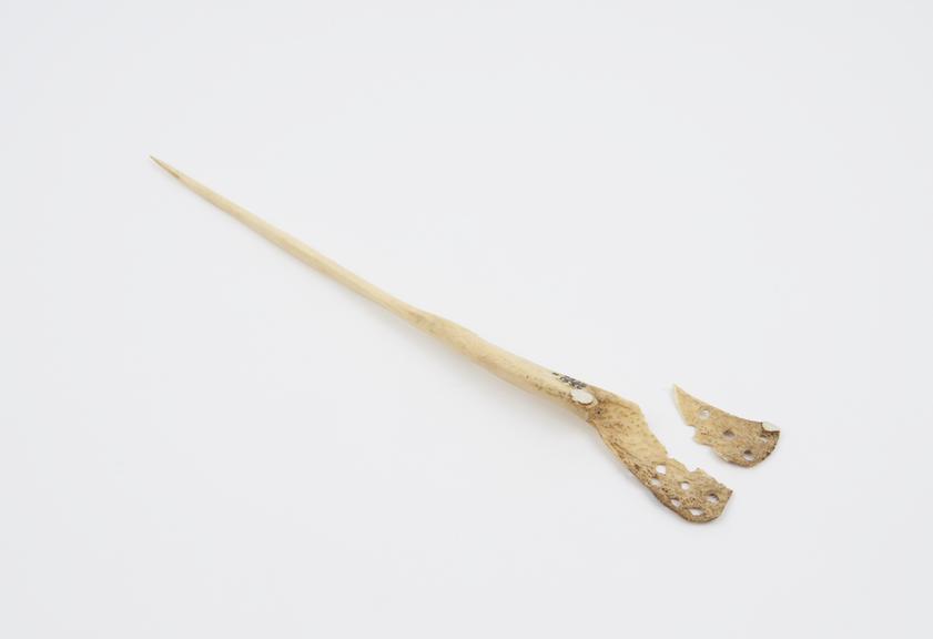 Nose borer consisting of bone for piercing septum | Science Museum ...