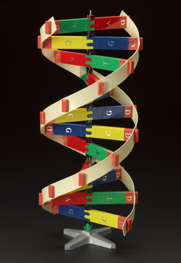 DNA molecular model kit, USA, 1986. | Science Museum Group Collection