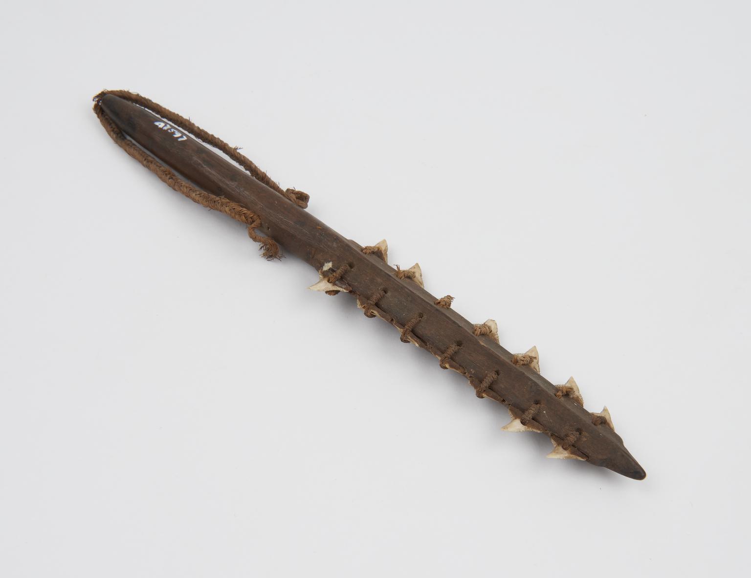Saw or fish hook with shark's teeth blades secured by fibre to wooden ...