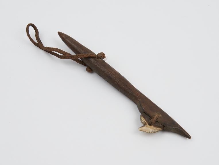 Lancet or fish hook with shark's tooth point and wooden handle with ...