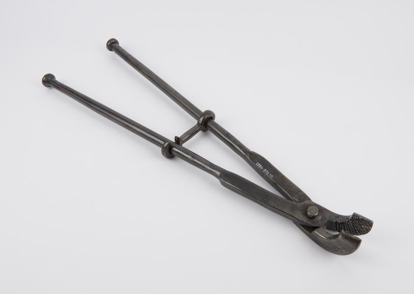 Veterinary dental forceps | Science Museum Group Collection