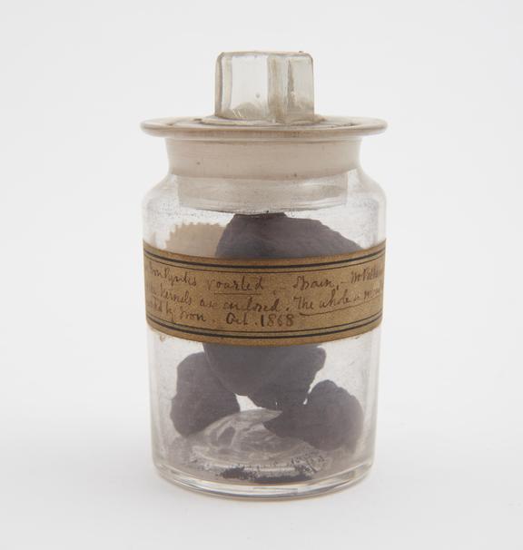 Cupriferous iron pyrites from Spain | Science Museum Group Collection