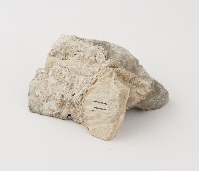 Specimen of stone from old St. Pauls Cathedral | Science Museum Group ...