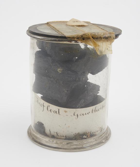 "Roof" coal, Gawthopre Colliery, in the Burnley Coalfield, Lancashire ...