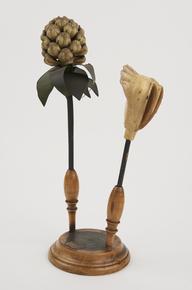 Botanical model | Science Museum Group Collection