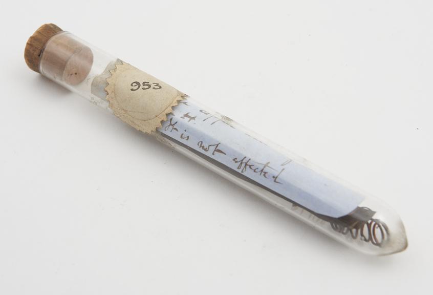 Electrotype and common copper heated in hydrogen | Science Museum Group ...