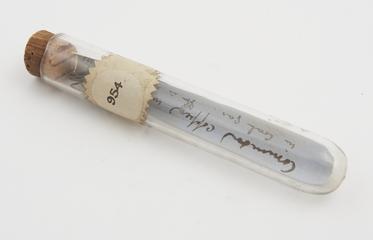 Electrotype and common copper heated in coal gas | Science Museum Group ...